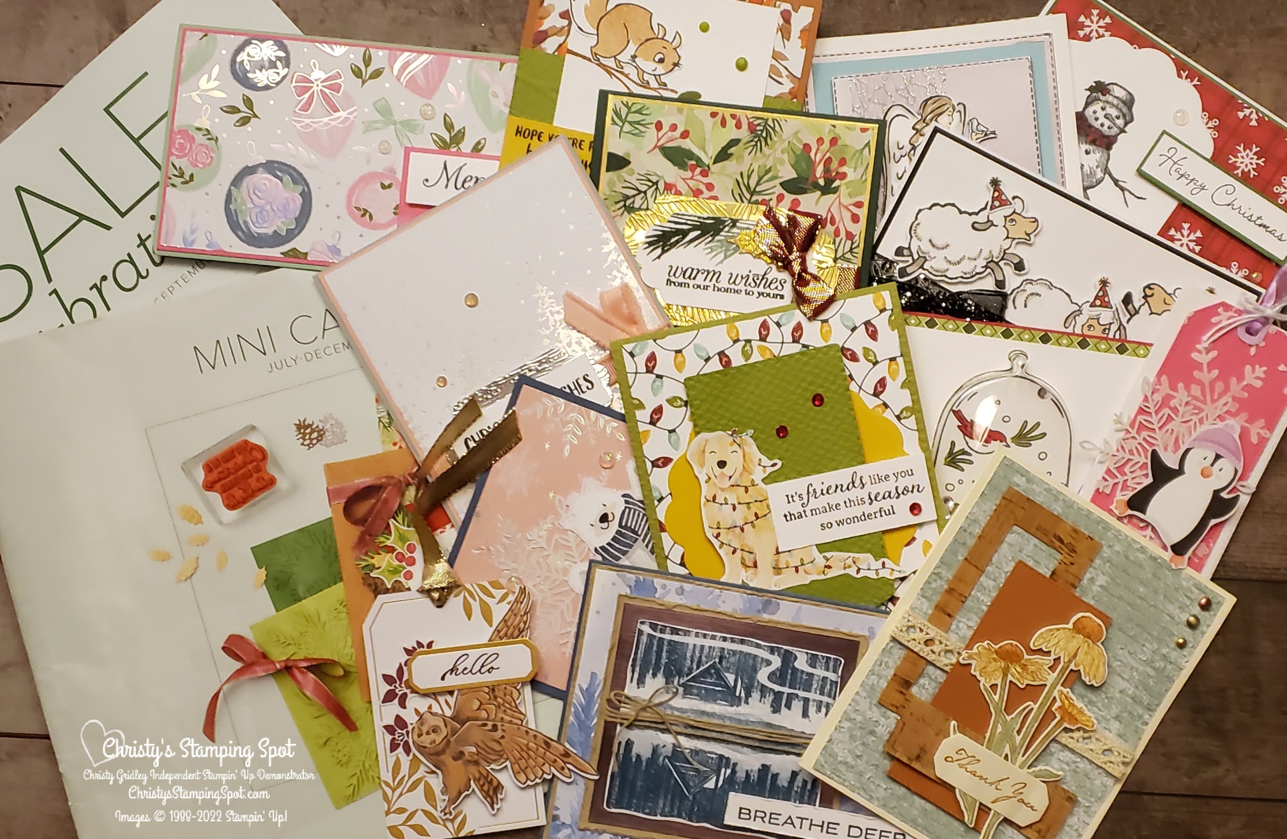 The New Stampin' Up!® July-December 2021 Mini Catalog is here!! - Christy's Stamping Spot