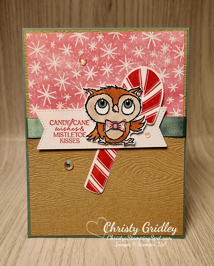 Adorable Owls Christmas Card - Christy's Stamping Spot