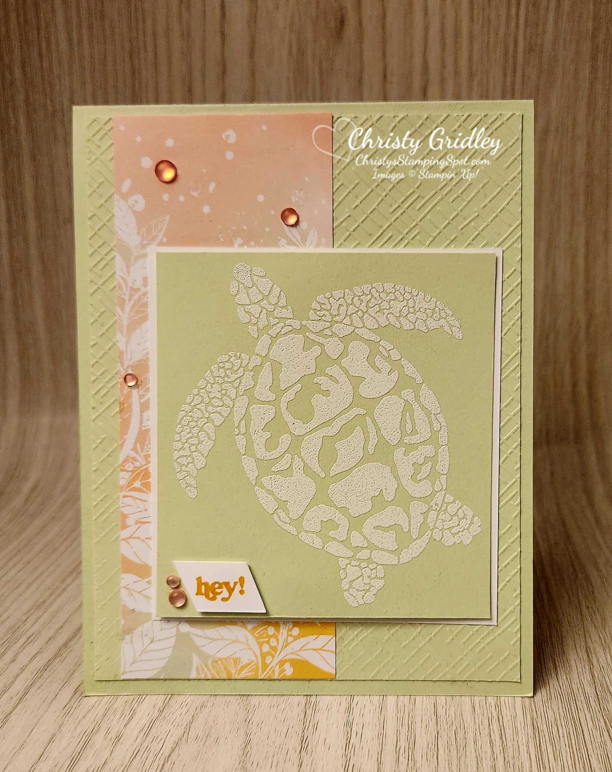 Simply Fabulous Embossed Sea Turtle Card - Christy's Stamping Spot