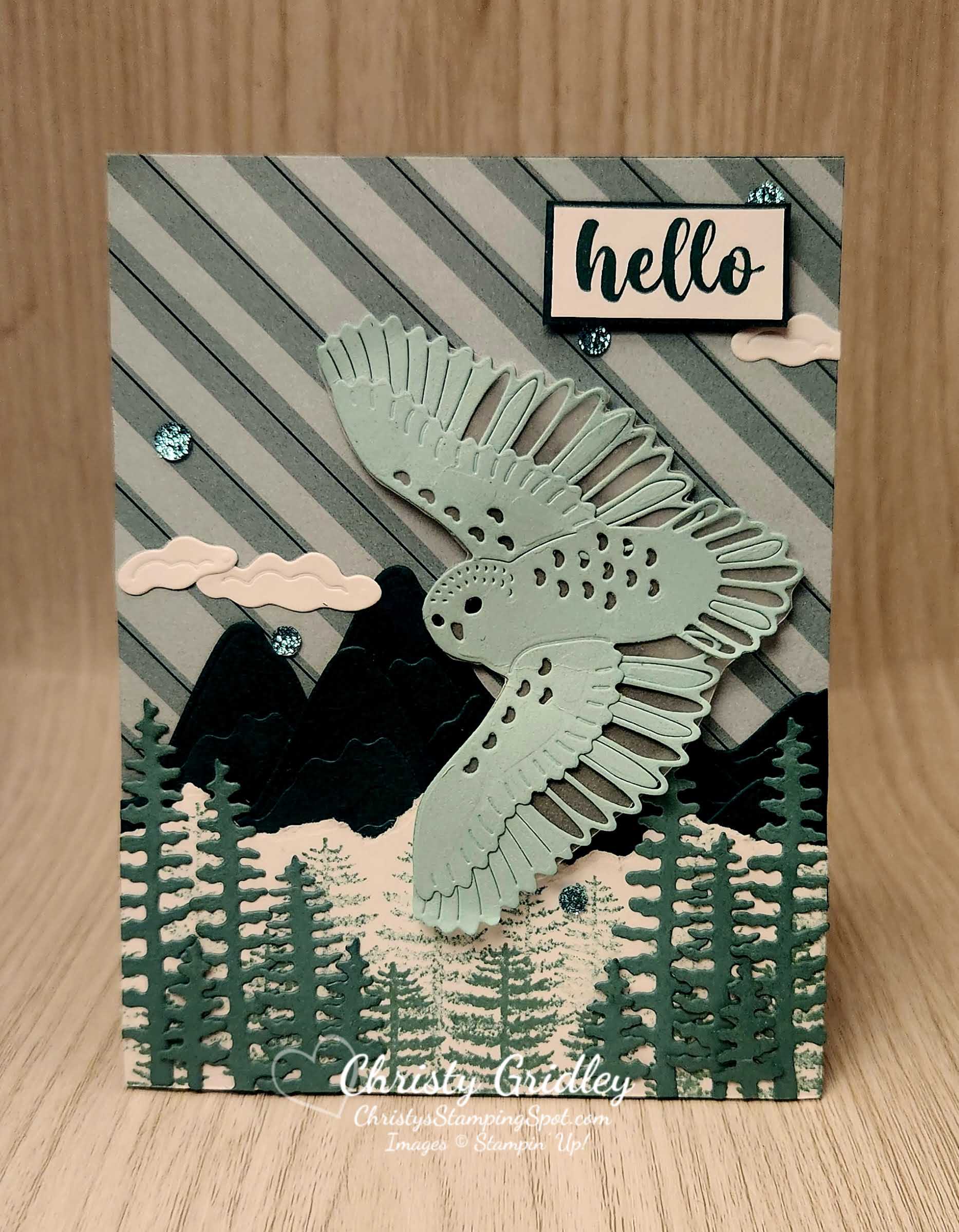 Forever Forest & Winter Owls Card - Christy's Stamping Spot