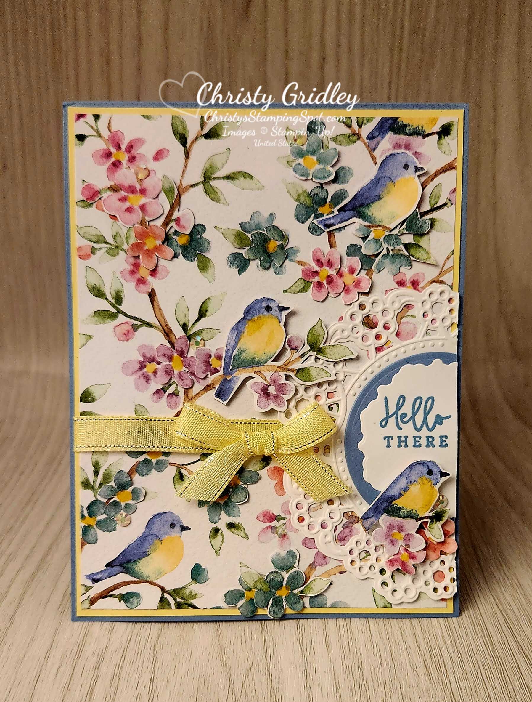 Flight & Airy DSP Hello There Card - Christy's Stamping Spot
