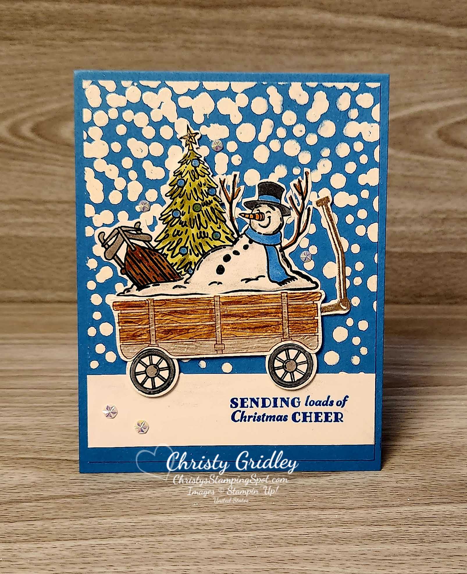 Inspirations In Ink: Embossing Blog Hop Card - Christy's Stamping Spot
