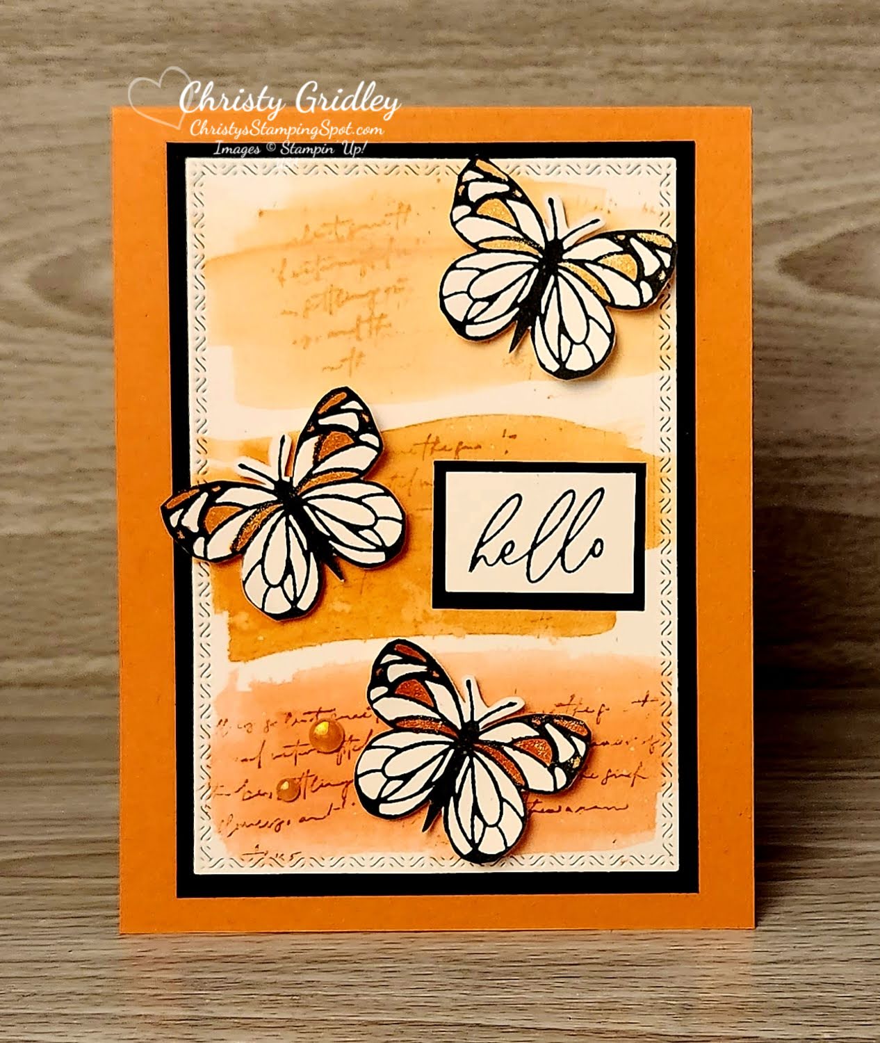 Beautiful Butterflies Global Design Project CASE The Designer Challenge ...